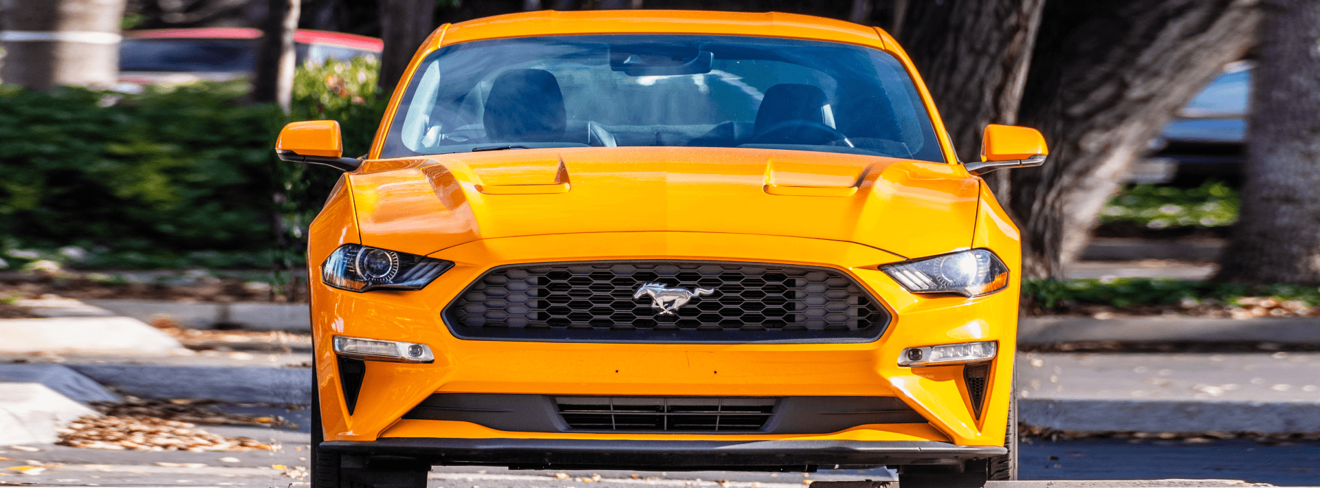 European, Domestic, Import Auto Maintenance, Service, Repair: Highlands, NC